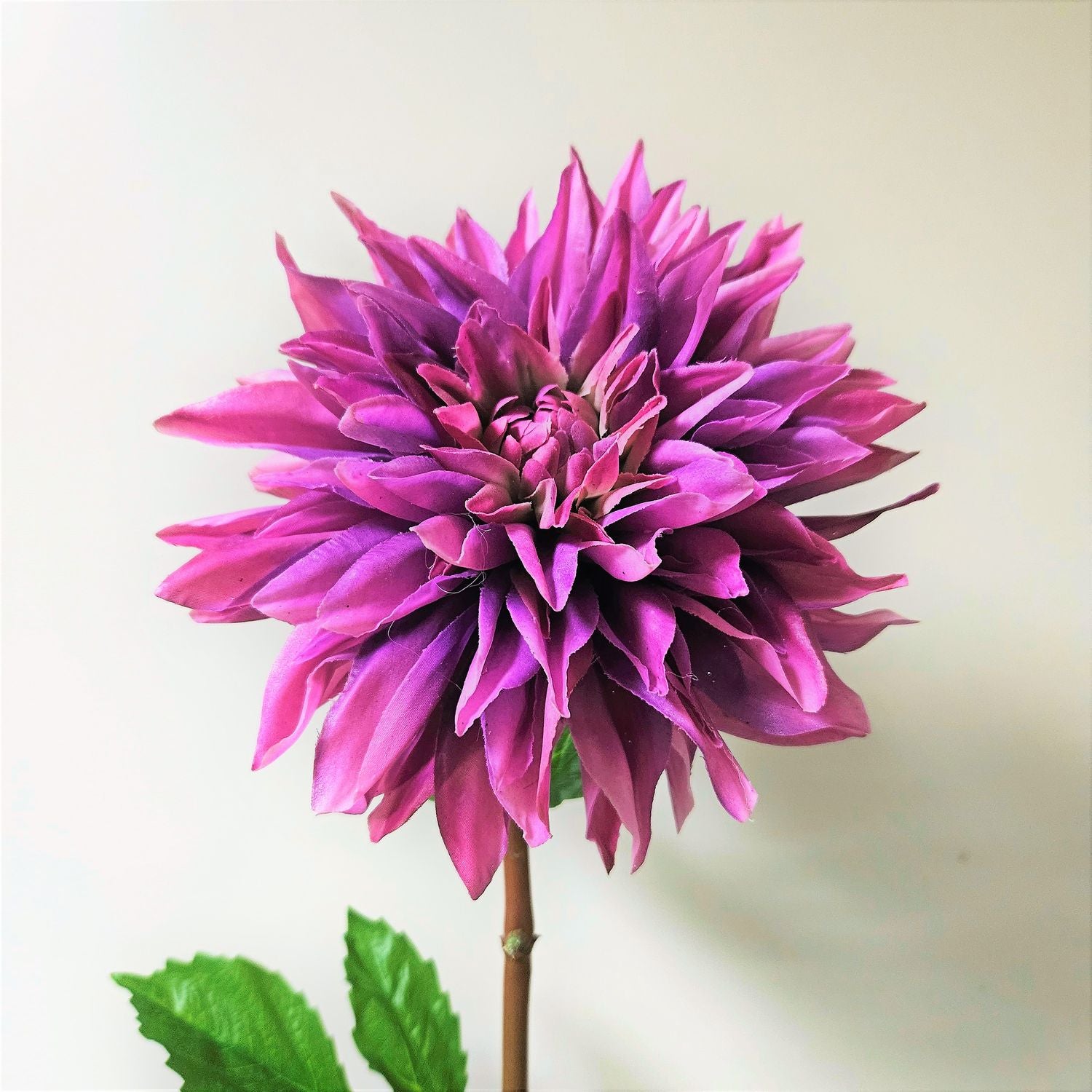 Dalia Artificiale Viola - H.Andreas